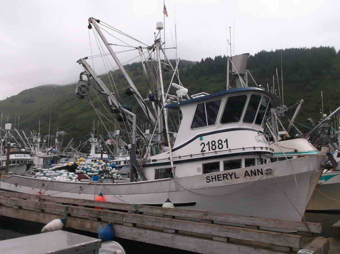 Salmon Purse Seiner
