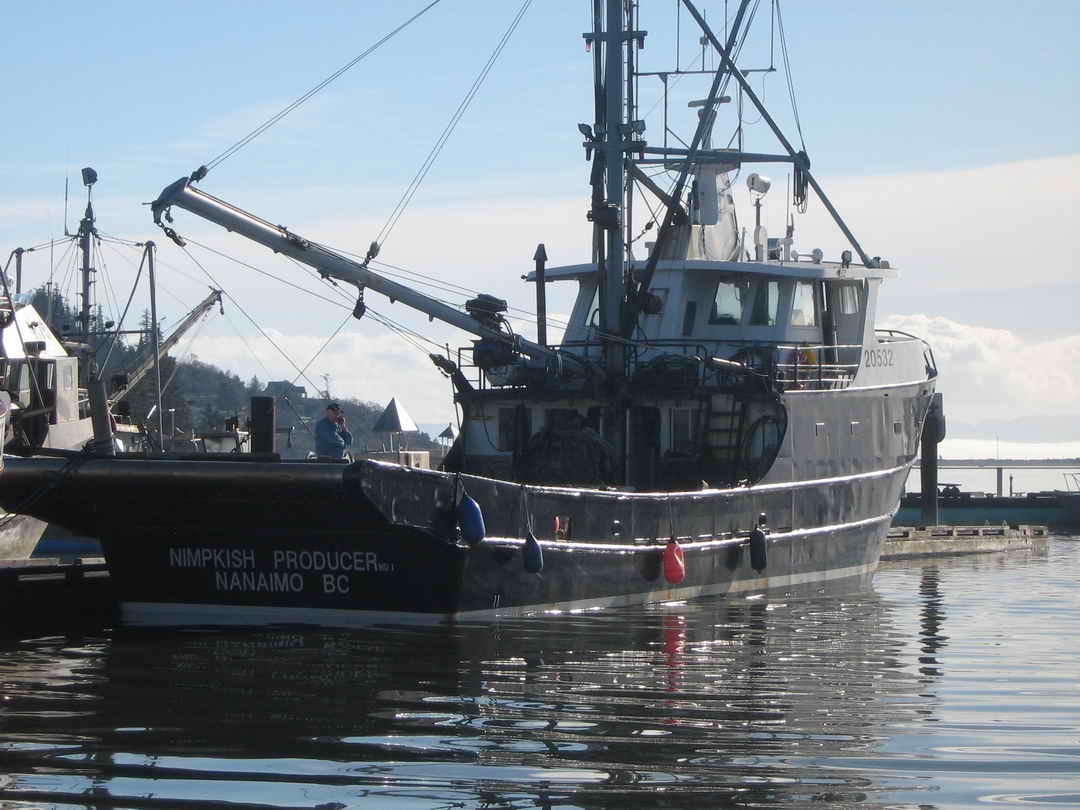Commercial Fishing Packer