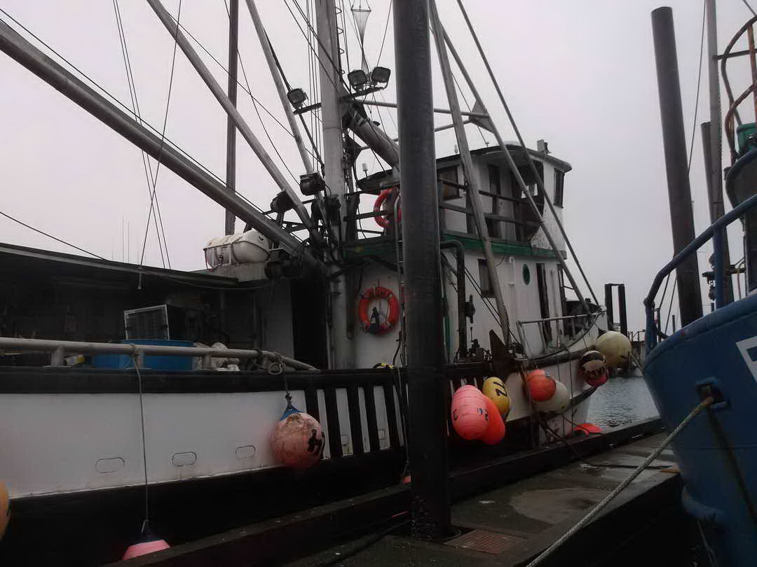 Wood Longliner Tender