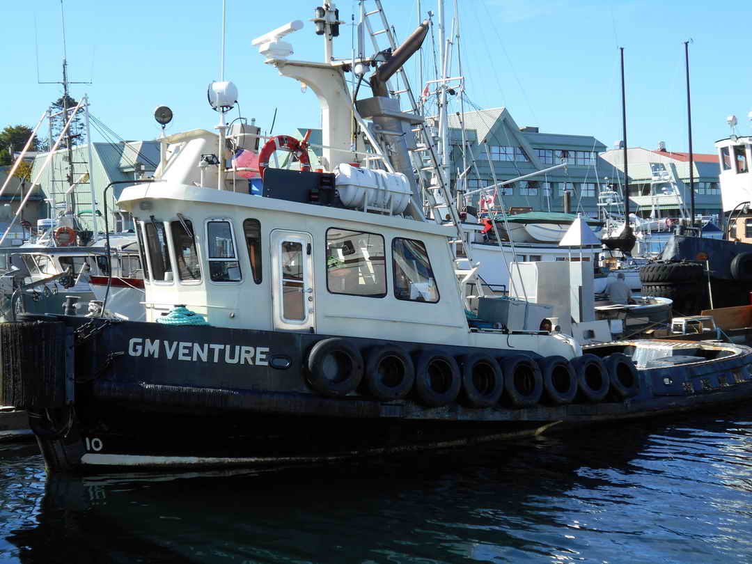 Coastal Harbor Tug